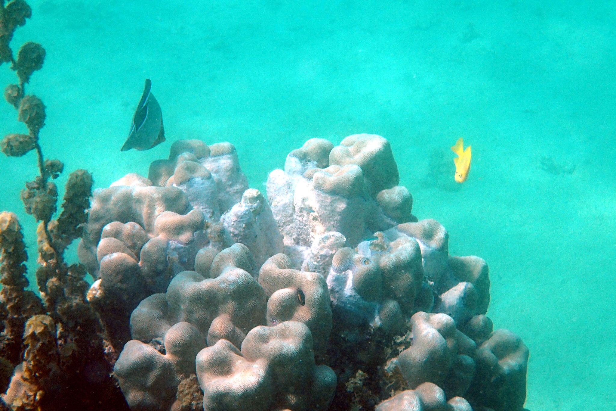 Ile Maskali et banc de sable – Le journal de Clo, notre famille ...