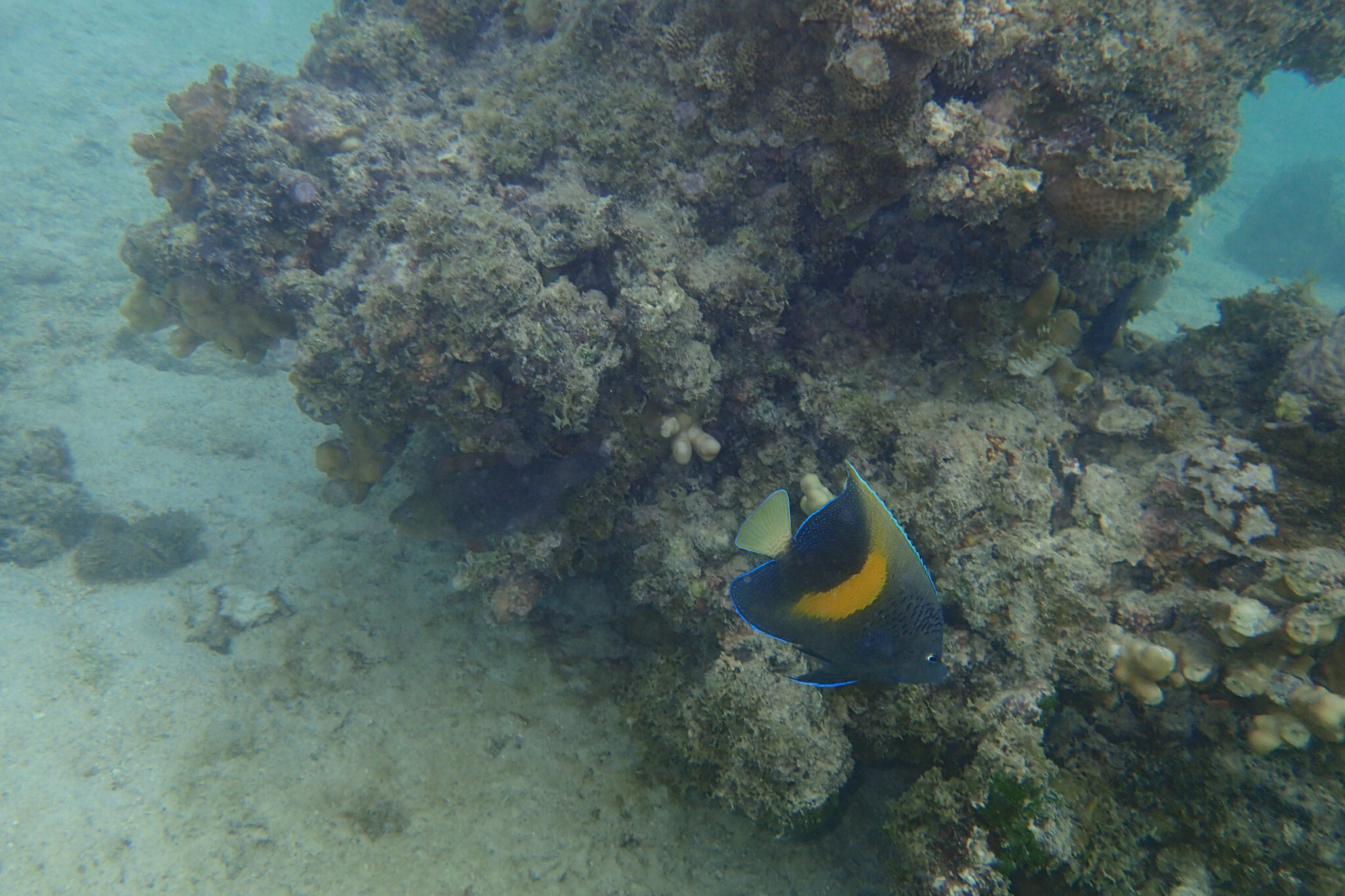 Week-end sur l’île de Maskali – Le journal de Clo, notre famille ...